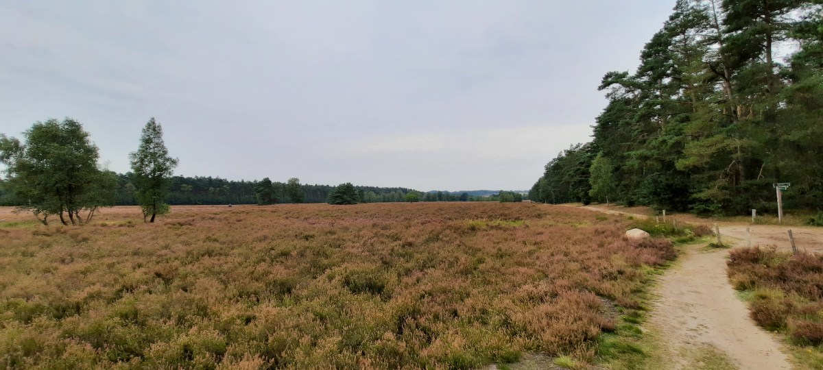 Die Behringer Heide – The Dog Shuttle